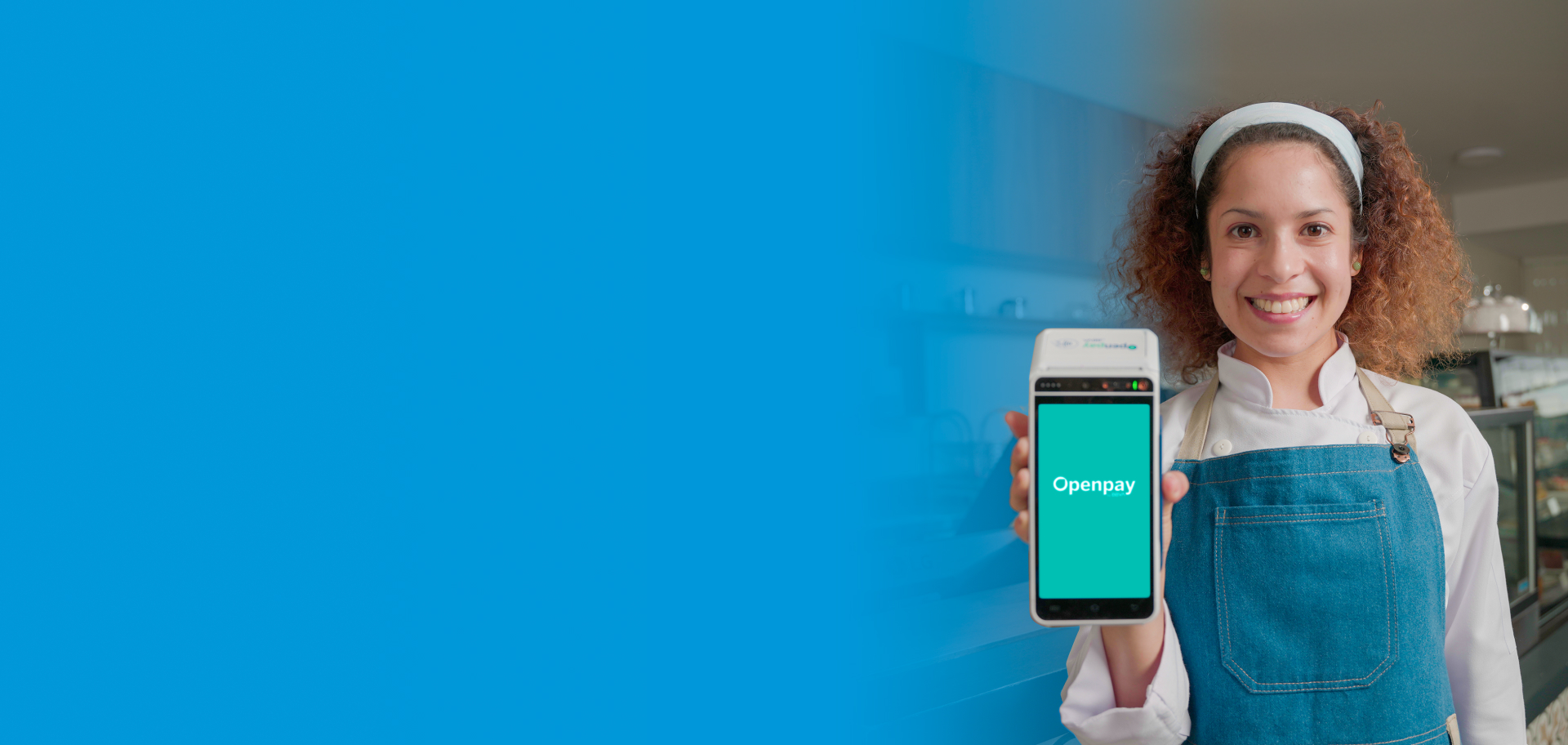 Pagos en línea: acepta todos los métodos de pago | Openpay